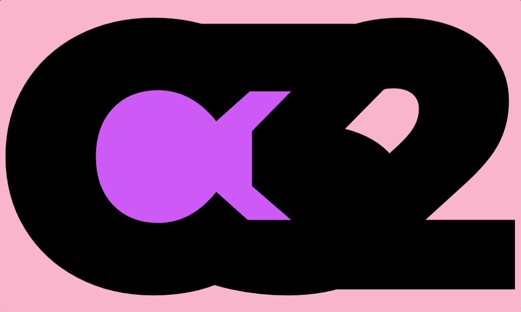 Bo-chi Guide: The Boston Terrier Chihuahua Mix